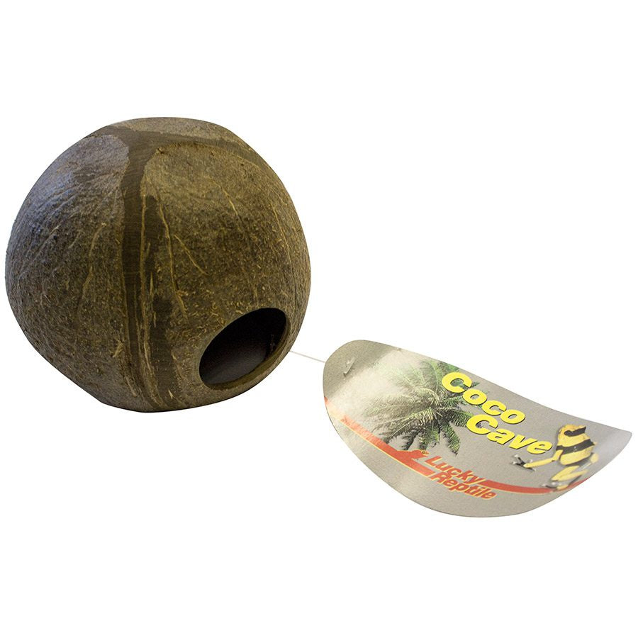 Lucky Reptile Coco Cave 3/4 – Epping Reef and Reptiles