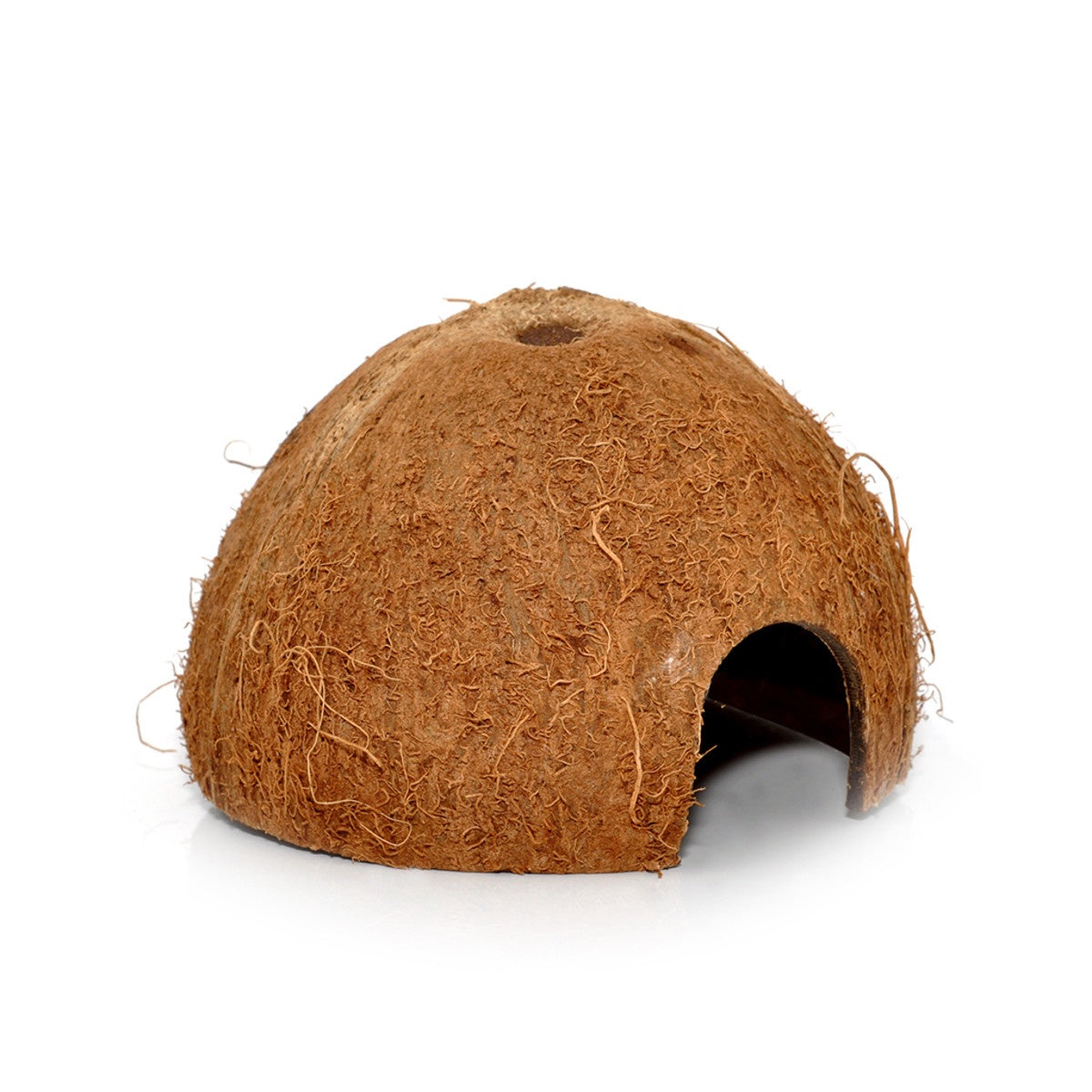 HabiStat Coconut Cave – Epping Reef and Reptiles