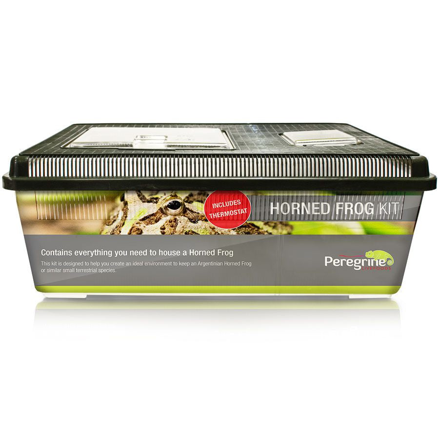 Peregrine Horned Frog Starter Kit – Epping Reef and Reptiles